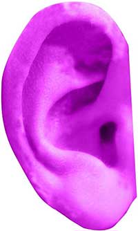 Développer l’oreille absolue chez les adultes